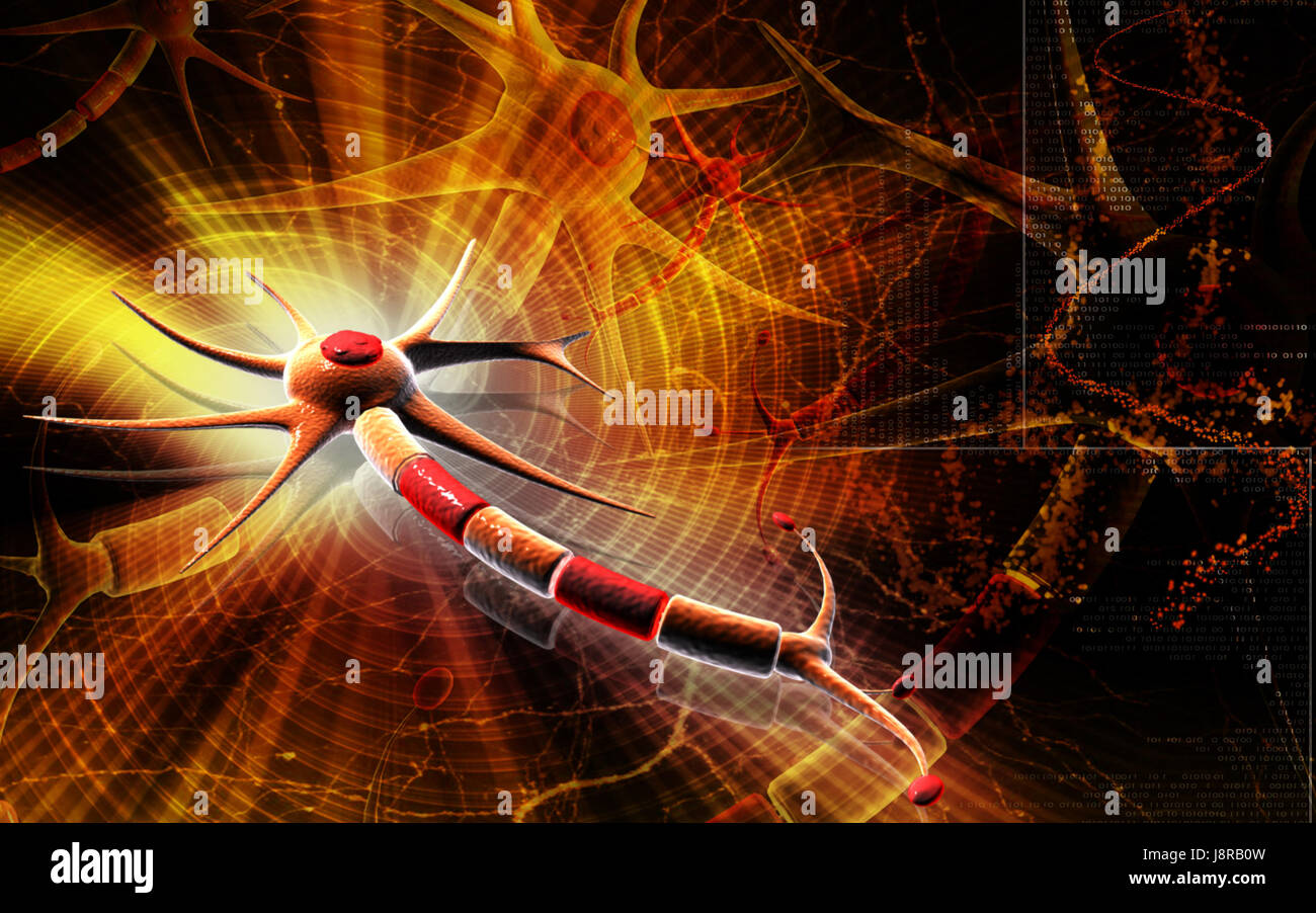 education, medicinally, medical, graphics, colour, science ...