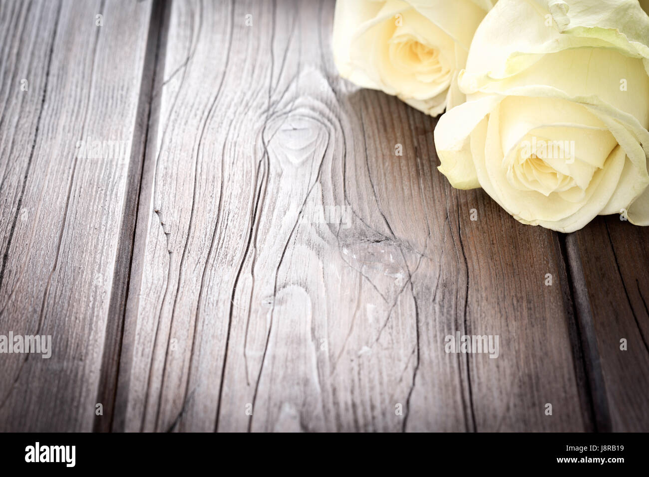 wood background with roses Stock Photo - Alamy