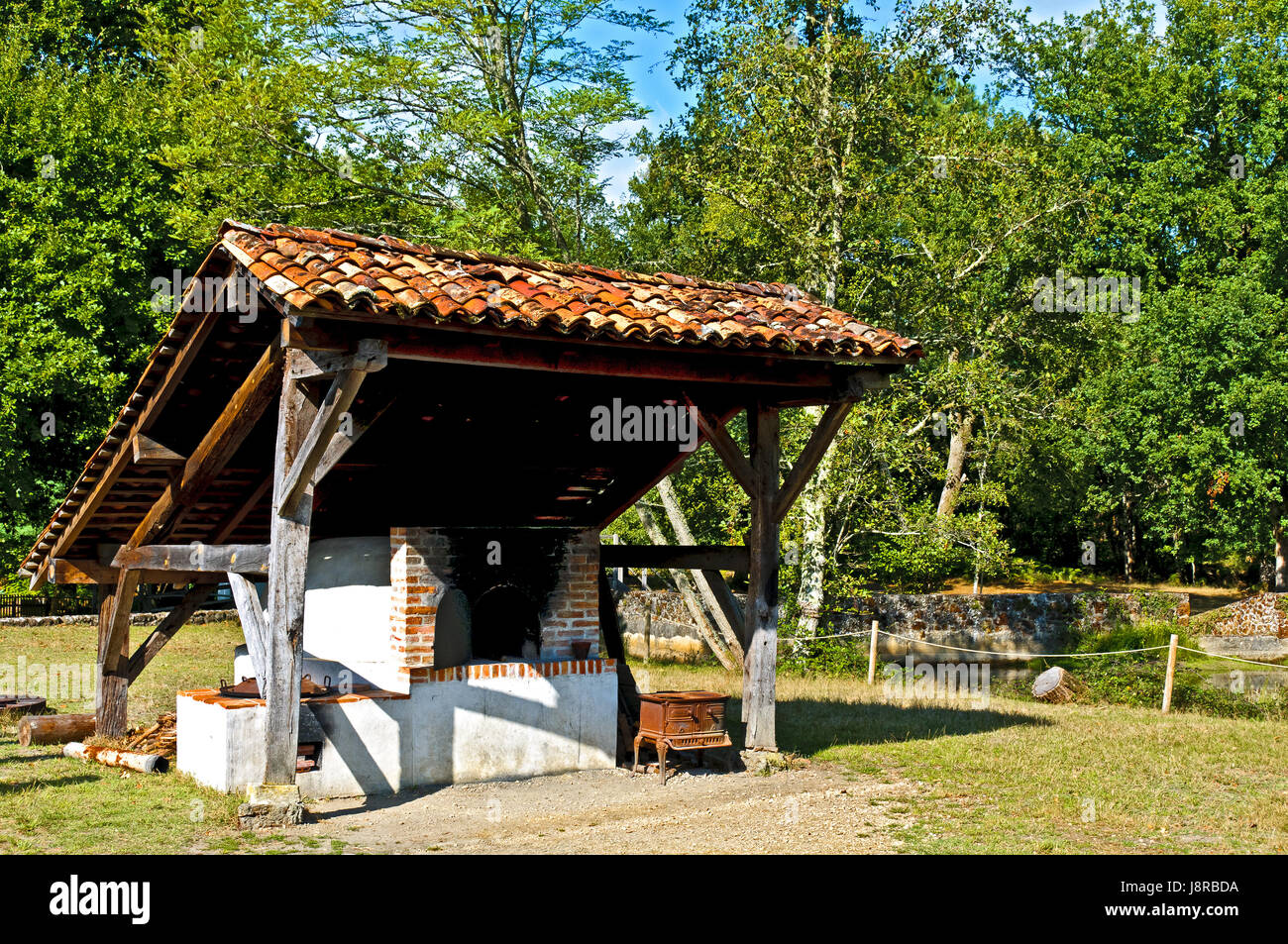 tree, trees, open, old, middle ages, story, tree, trees, holiday ...