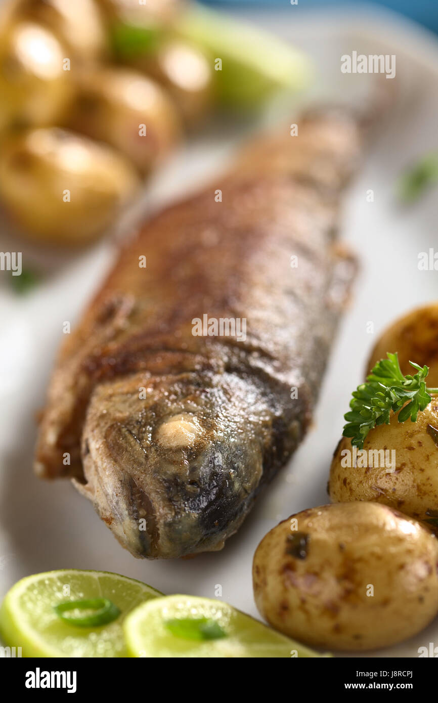 food, aliment, angle, fish, trout, dish, meal, seafood, potato, fried ...