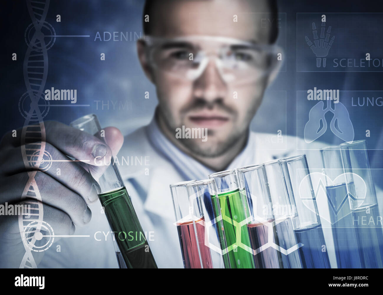 Portrait of concentrated male scientist working with reagents in laboratory Stock Photo - Alamy