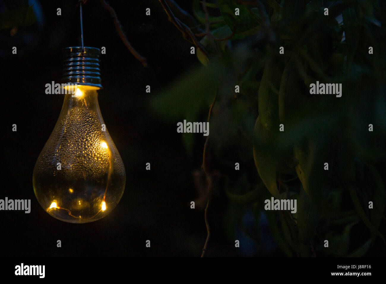 Solar powered lightbulbs at night Stock Photo - Alamy