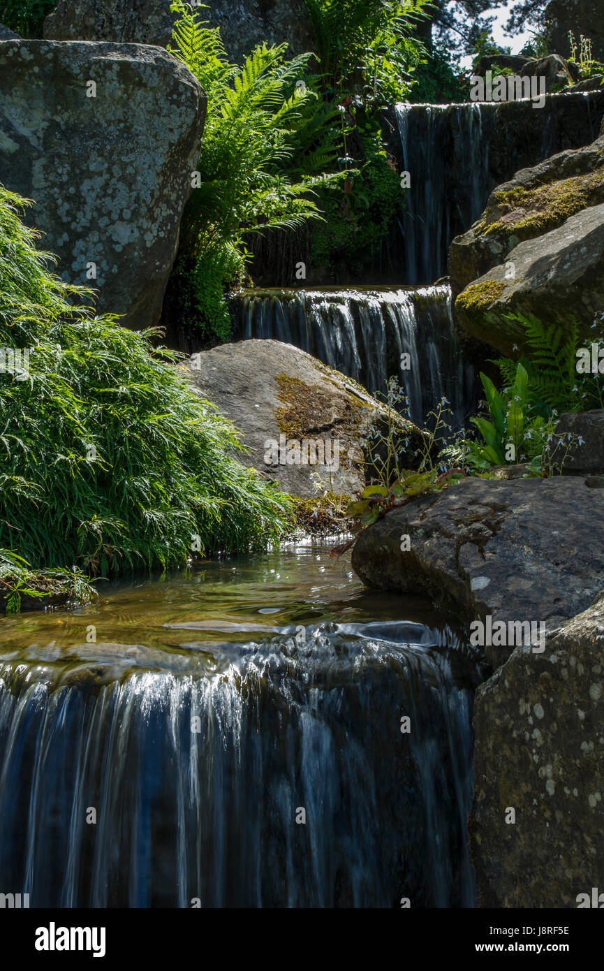 Waterfalls in a water feature at at RHS Wisley Stock Photo - Alamy