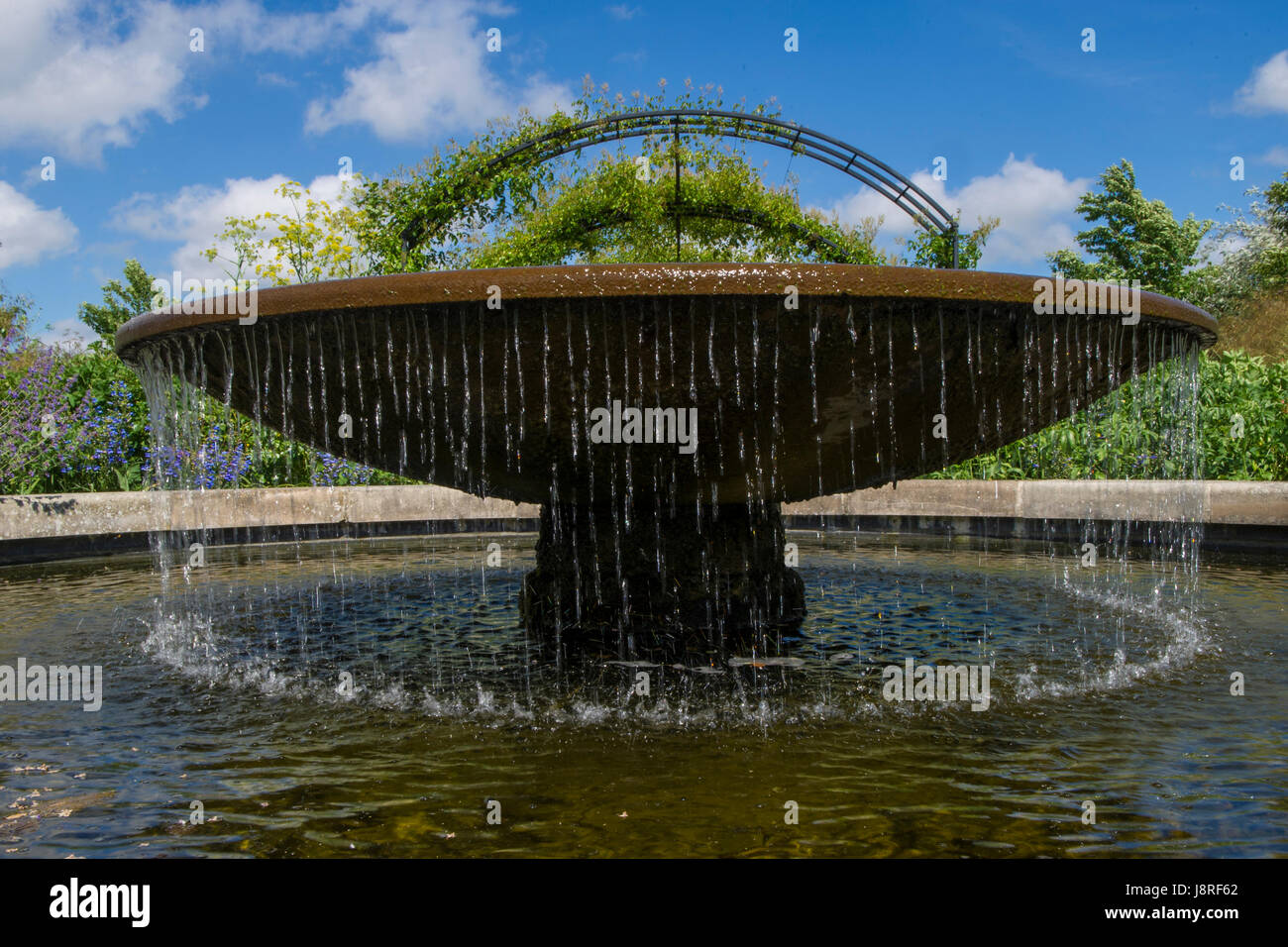 A water feature at RHS Wisley Stock Photo - Alamy