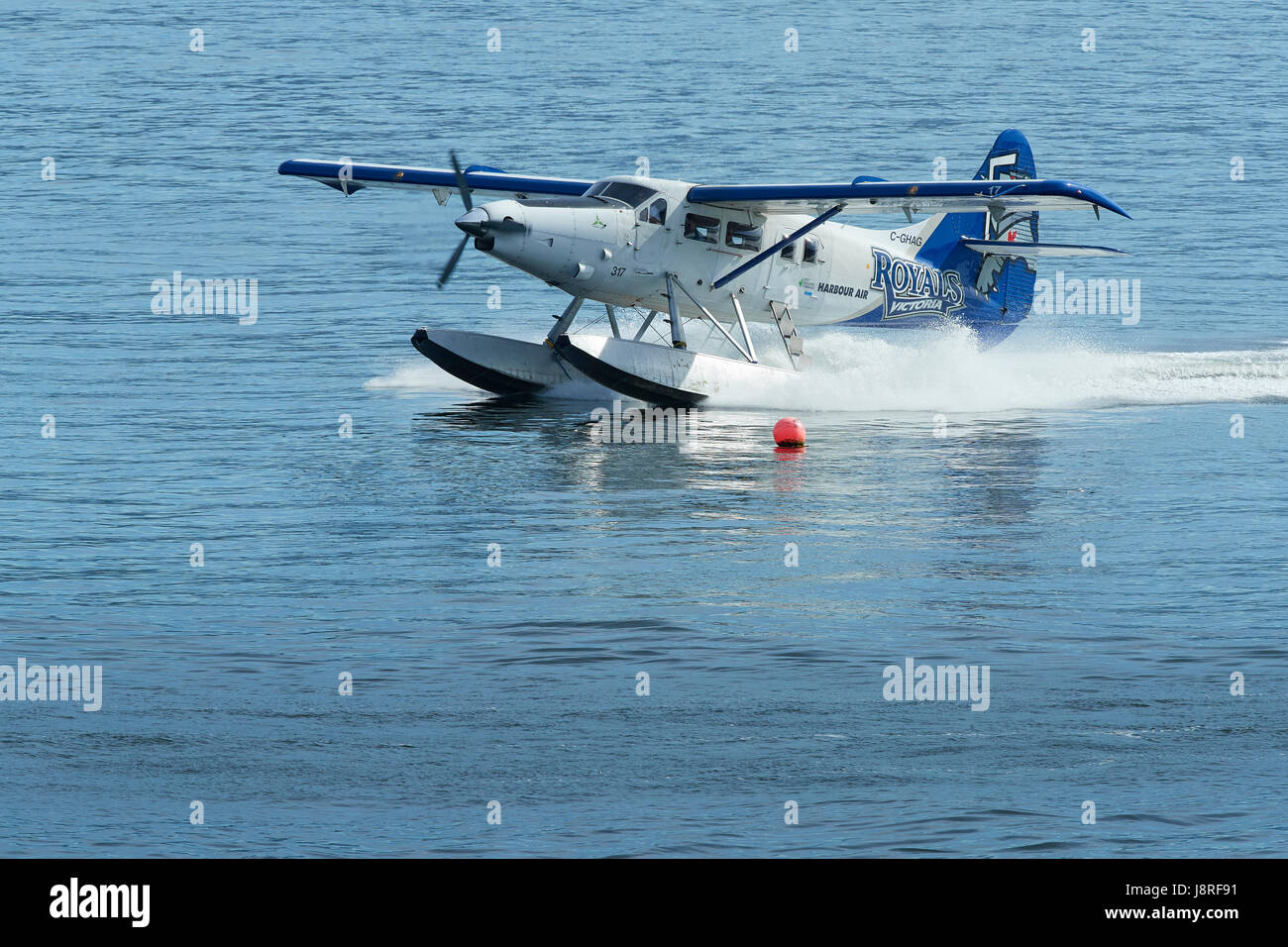 Harbour Air Seaplanes Floatplane In The Victoria Royals Livery, Landing ...
