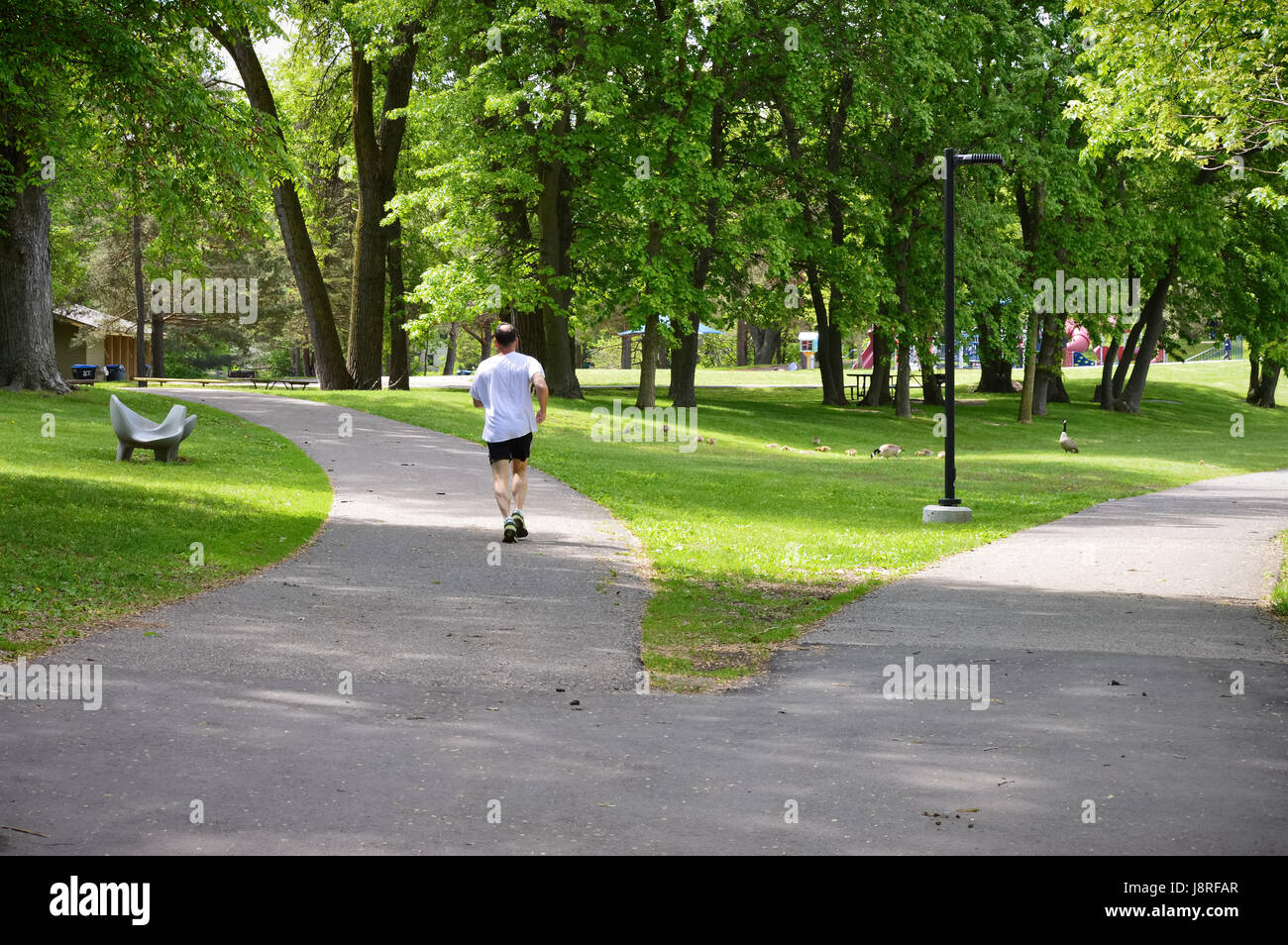 Trail runner at the park Stock Photo - Alamy