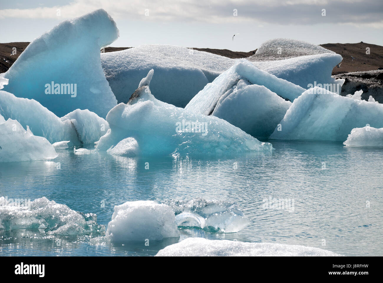 environment, enviroment, arctic, iceland, icebergs, fresh water, lake ...