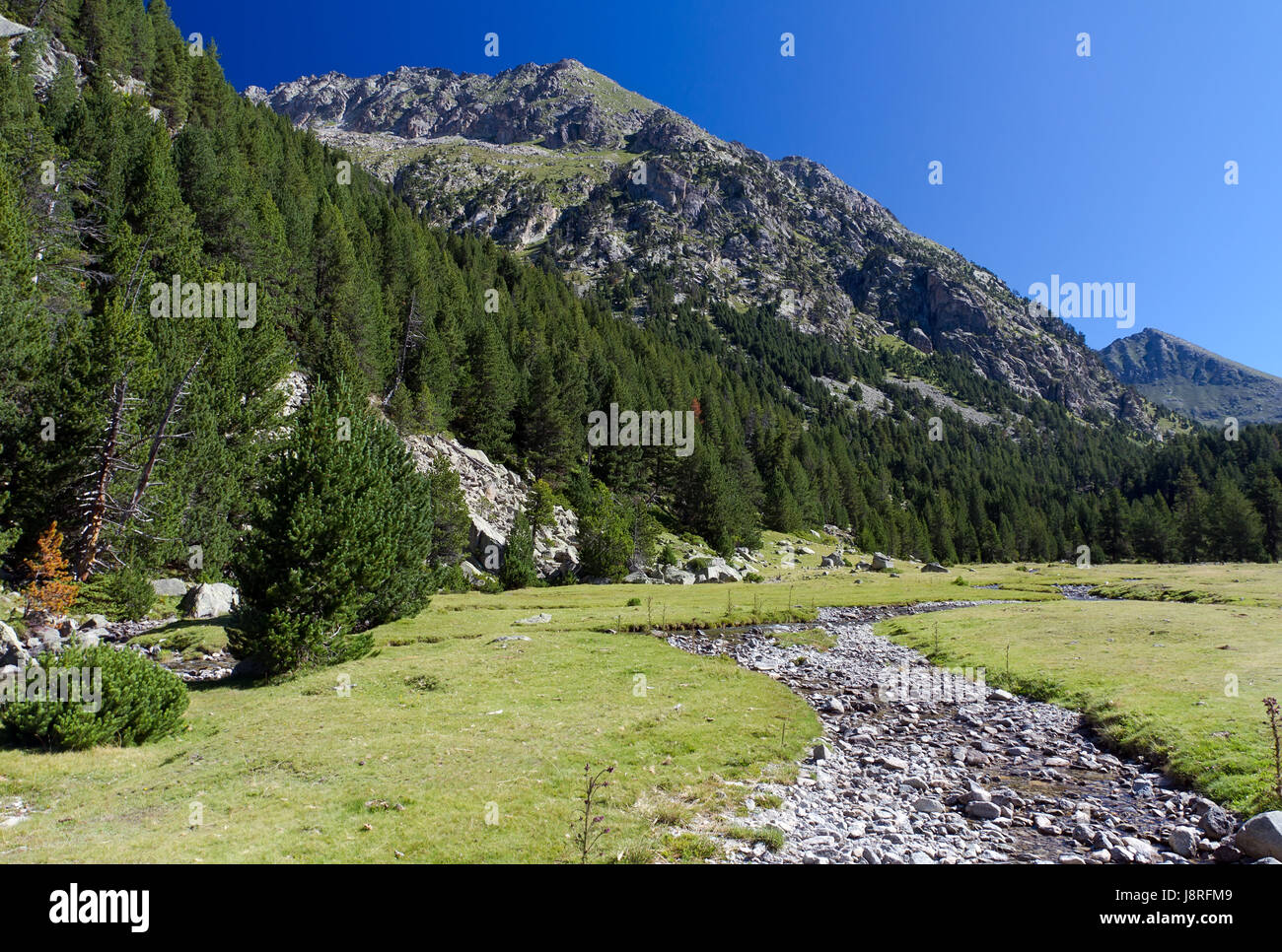 blue, beautiful, beauteously, nice, environment, enviroment, park ...