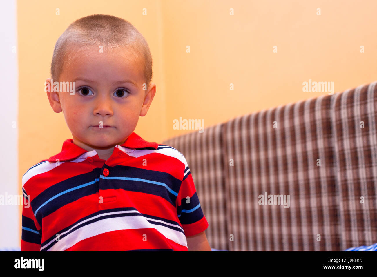 face, kid, boy, lad, male youngster, child, humans, human beings ...