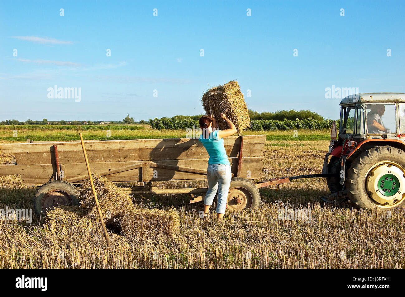 agriculture, farming, farm, country, scenery, countryside, nature Stock ...