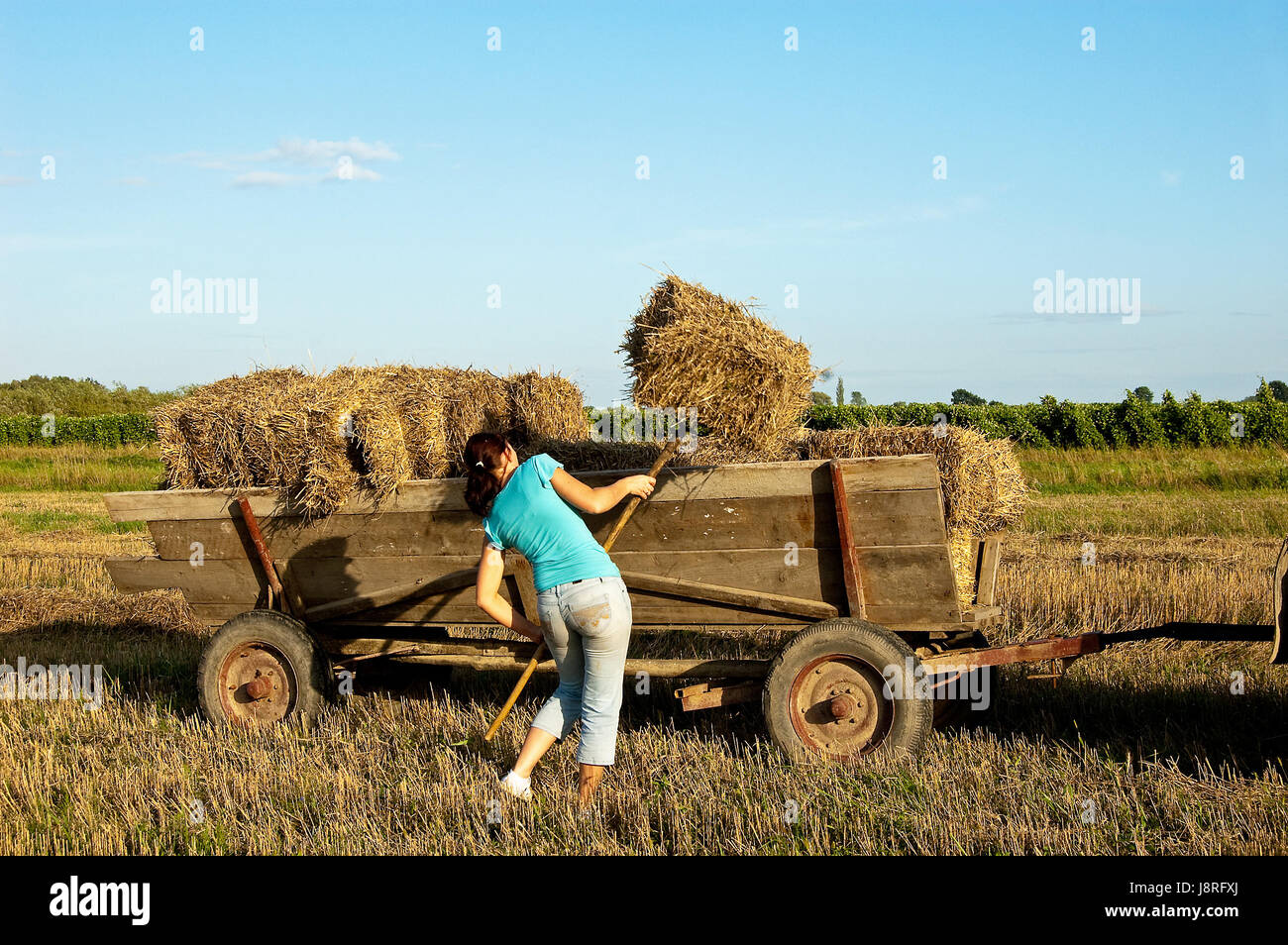 agriculture, farming, farm, country, scenery, countryside, nature Stock ...