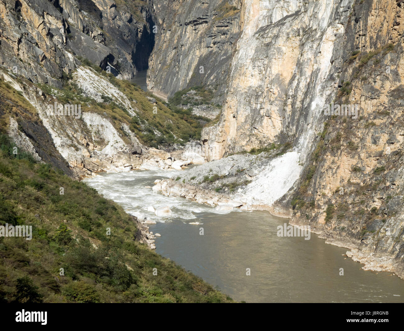 Tiger sprung schlucht hi-res stock photography and images - Alamy
