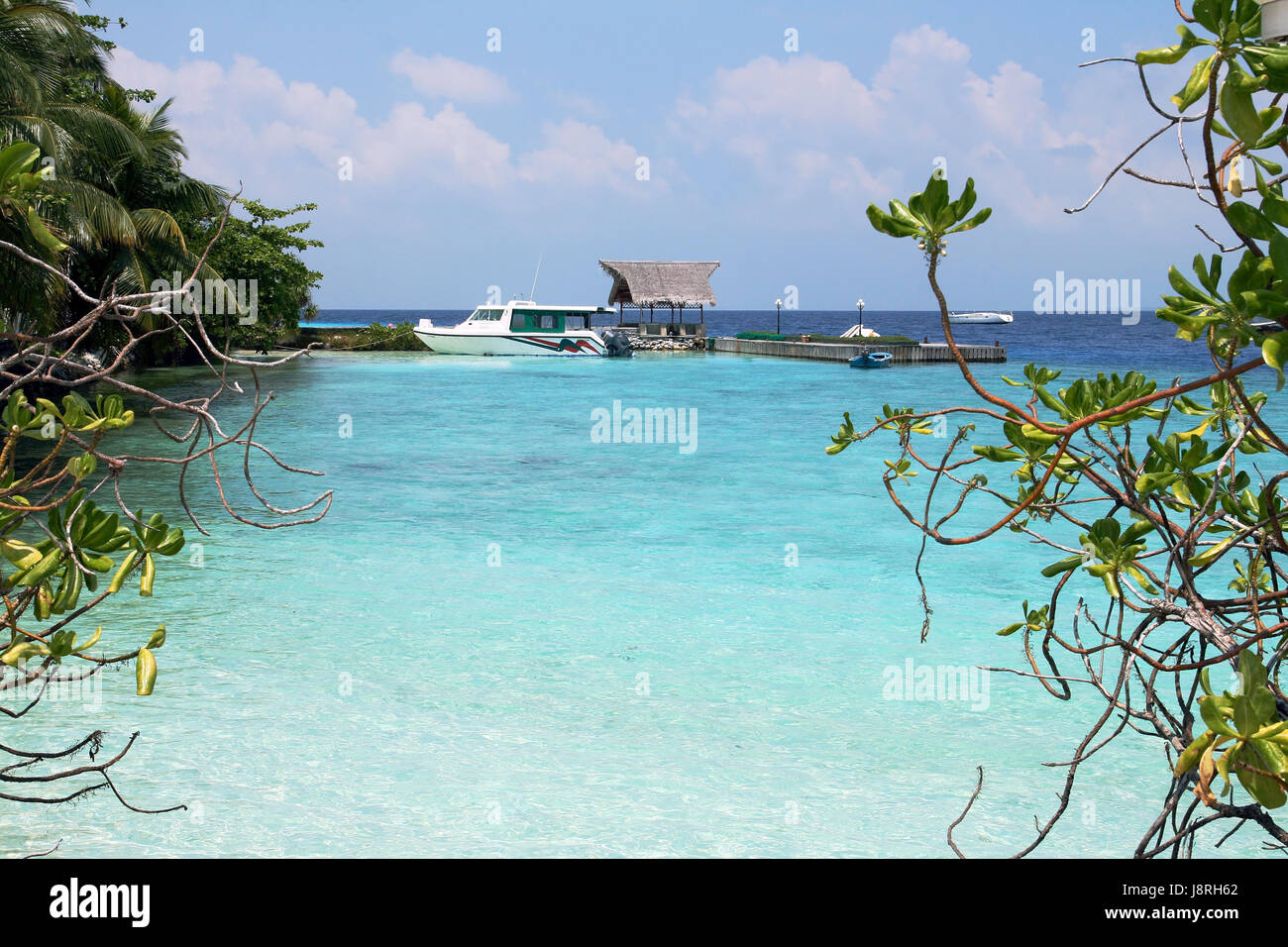 clear warm water in the small port Stock Photo - Alamy