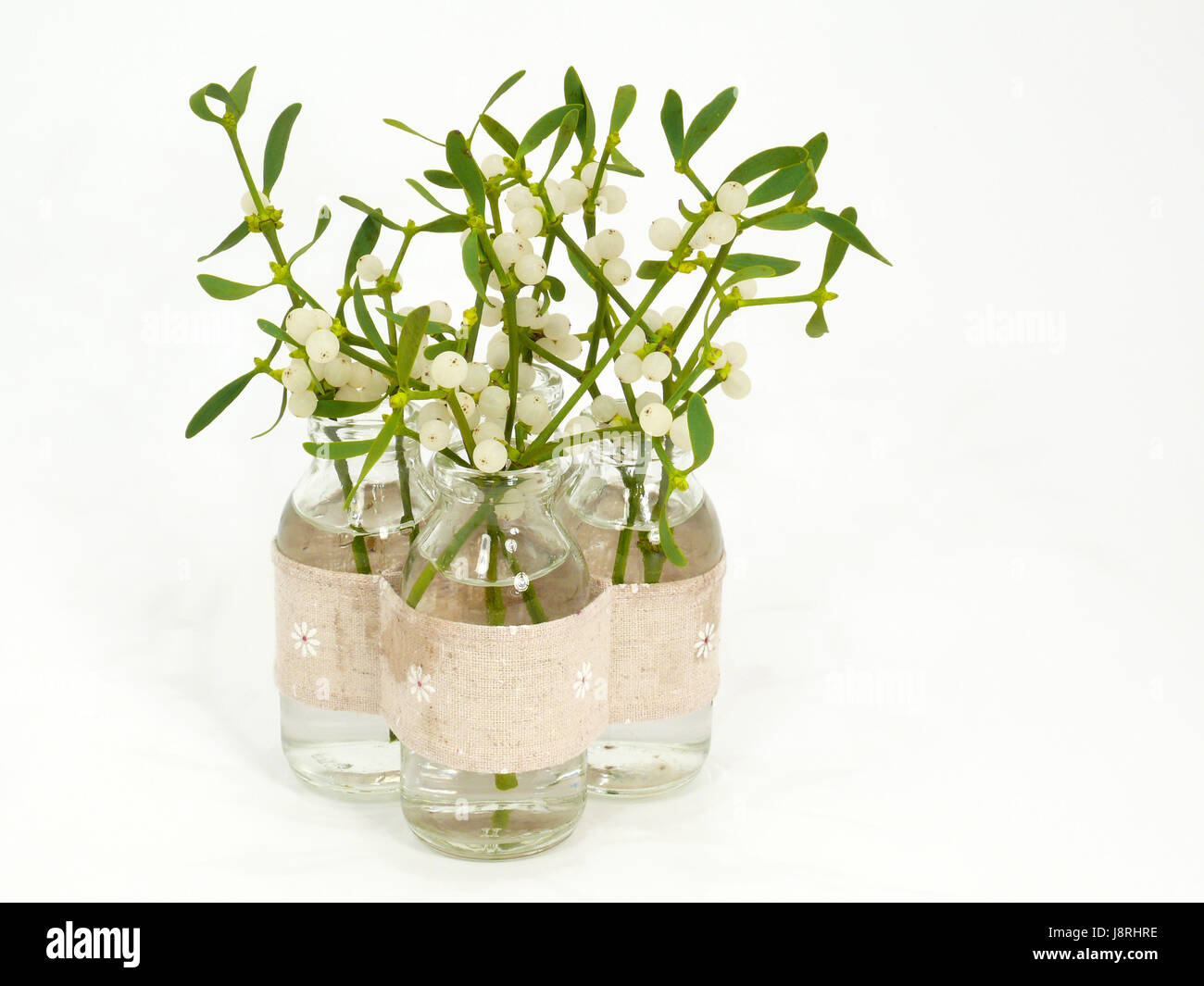 superstition, cut, mistletoe, parasite, mistletoes, christmas, xmas, x ...