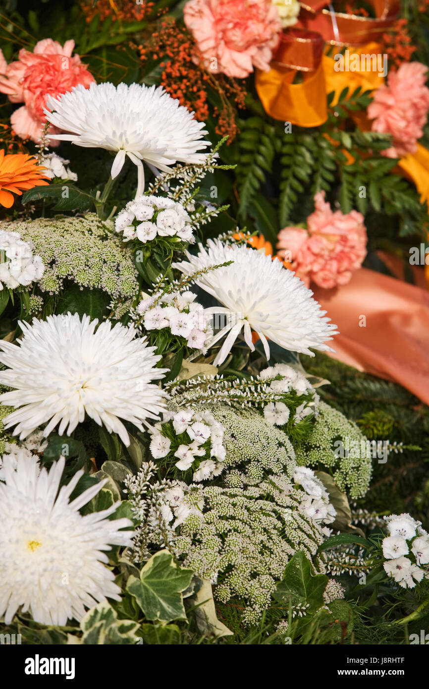 still life, death, closeup, flower, plant, carnation, loss, cemetery ...
