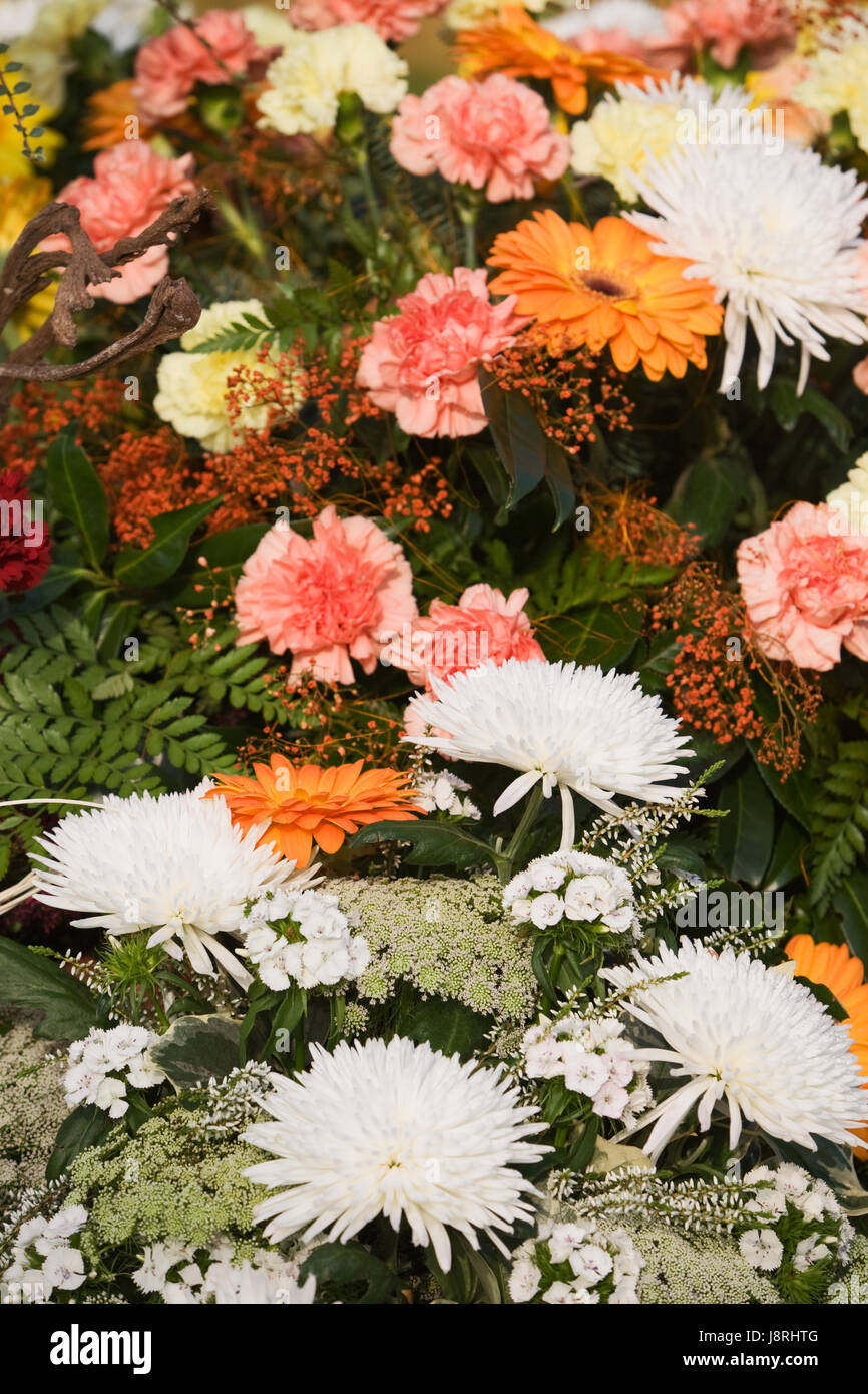 still life, death, closeup, flower, plant, carnation, loss, cemetery ...