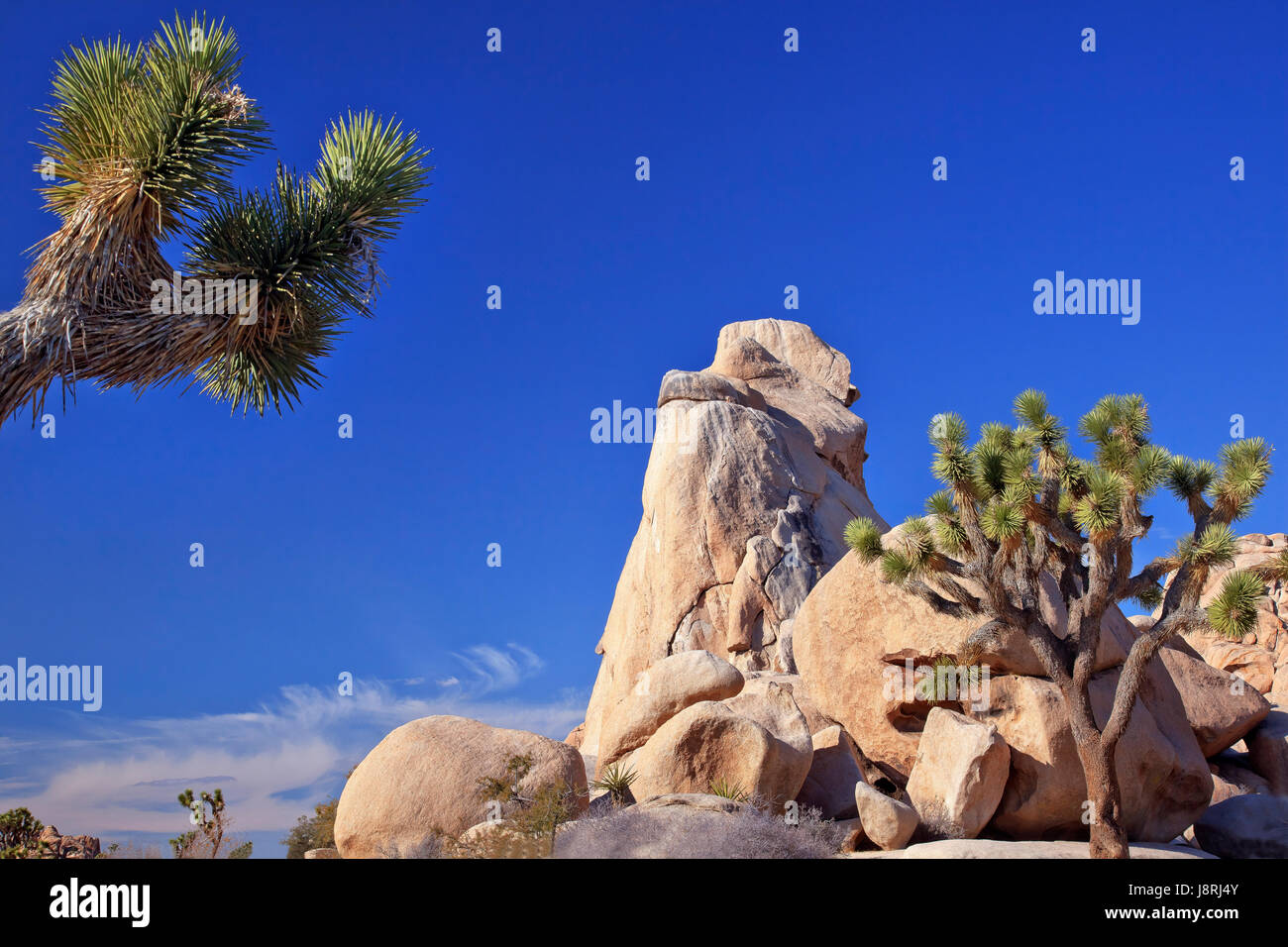 national park, california, rocks, travel, park, stone, desert ...