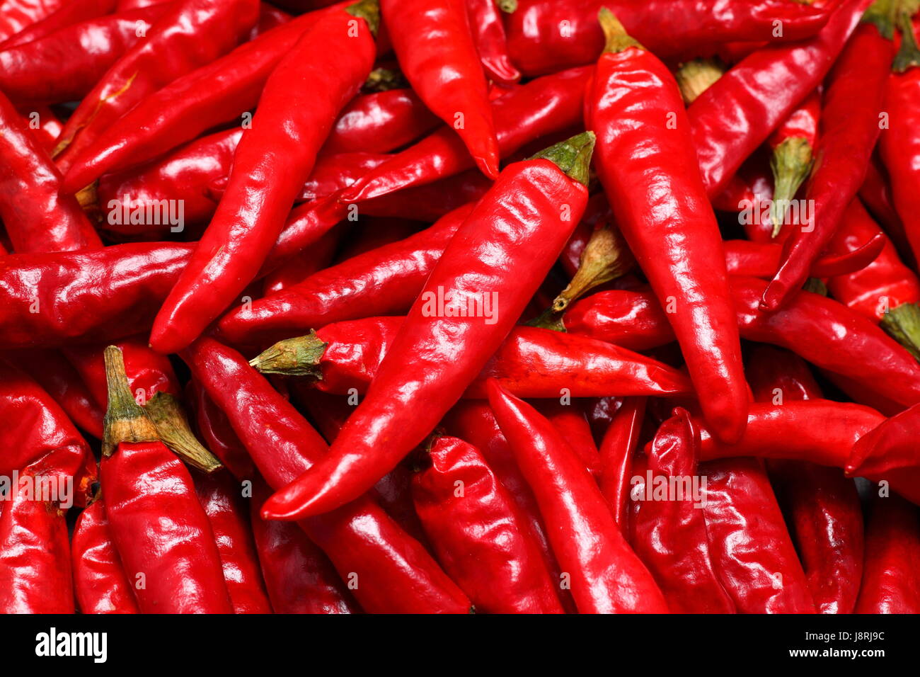 food, aliment, pepper, vegetable, spicy, ingredient, red, plant, food ...