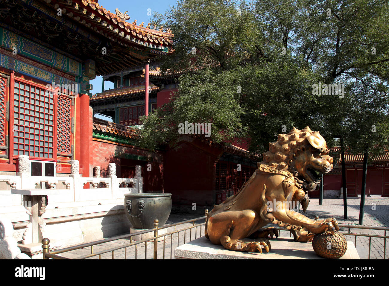 city, town, lion, cat, big cat, feline predator, gilt, beijing, gilding ...