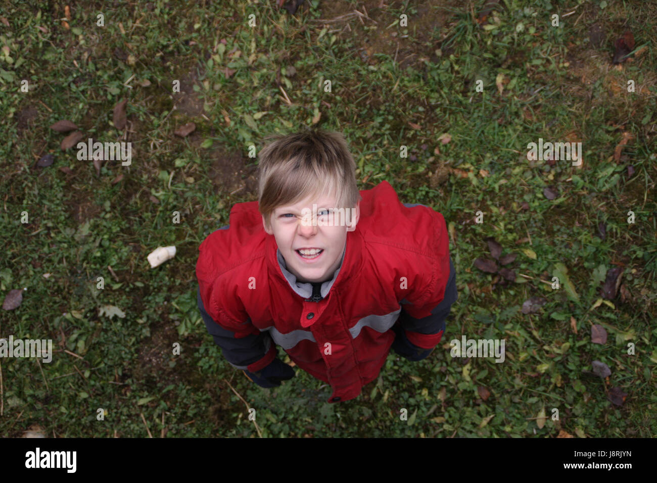 mimic art, grin, young, younger, meadow, child, look, glancing, see ...