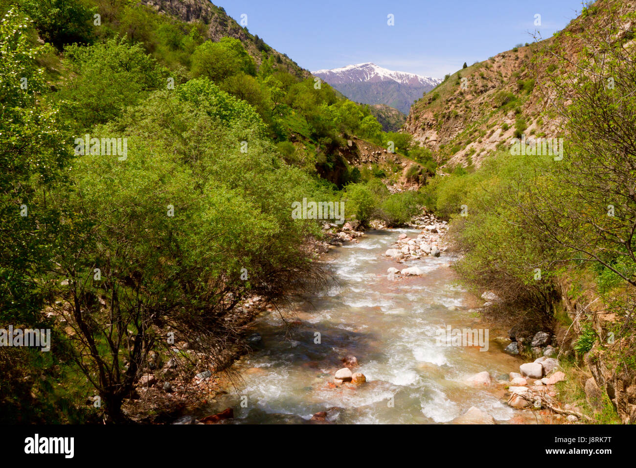 motion, postponement, moving, movement, big, large, enormous, extreme Stock Photo - Alamy