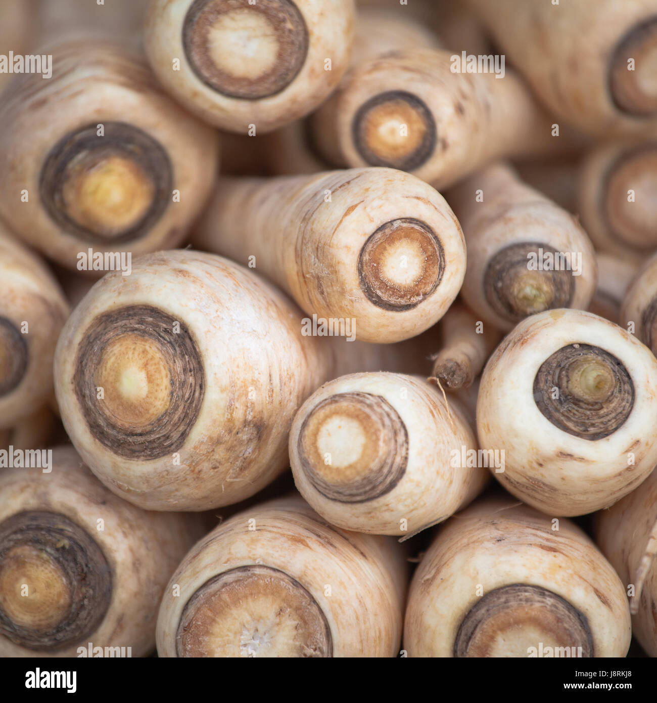 food, aliment, colour, closeup, aromatic, square, vegetable, raw ...