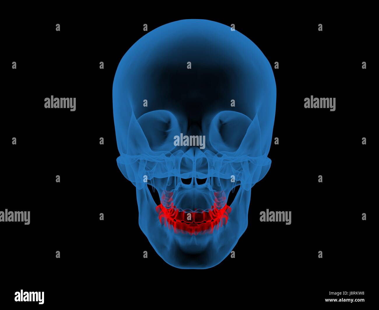 Human skull open mouth hi-res stock photography and images - Alamy