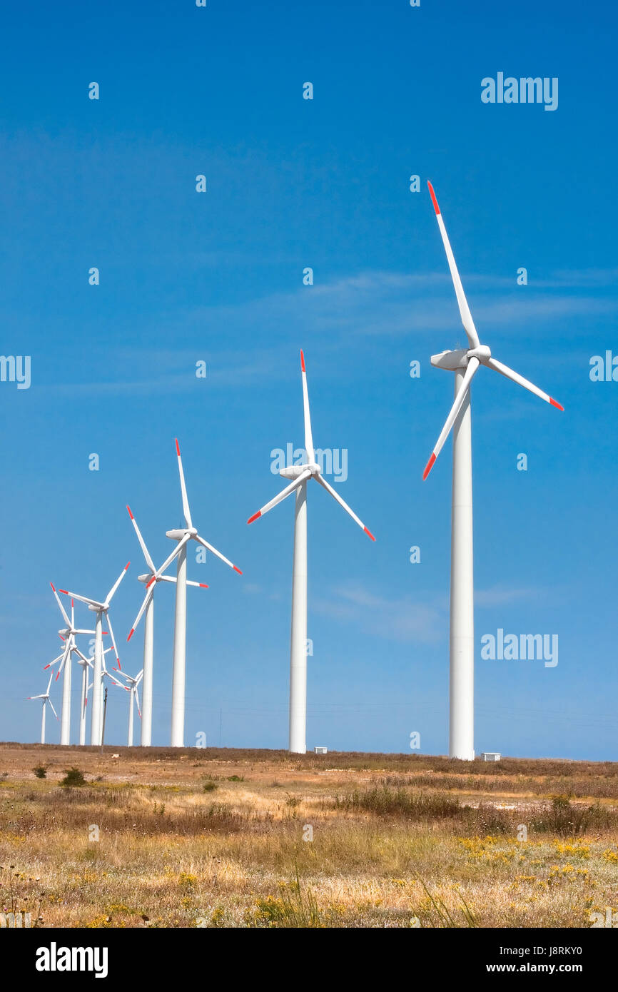 protected, sheltered, environment, enviroment, colour, industry ...