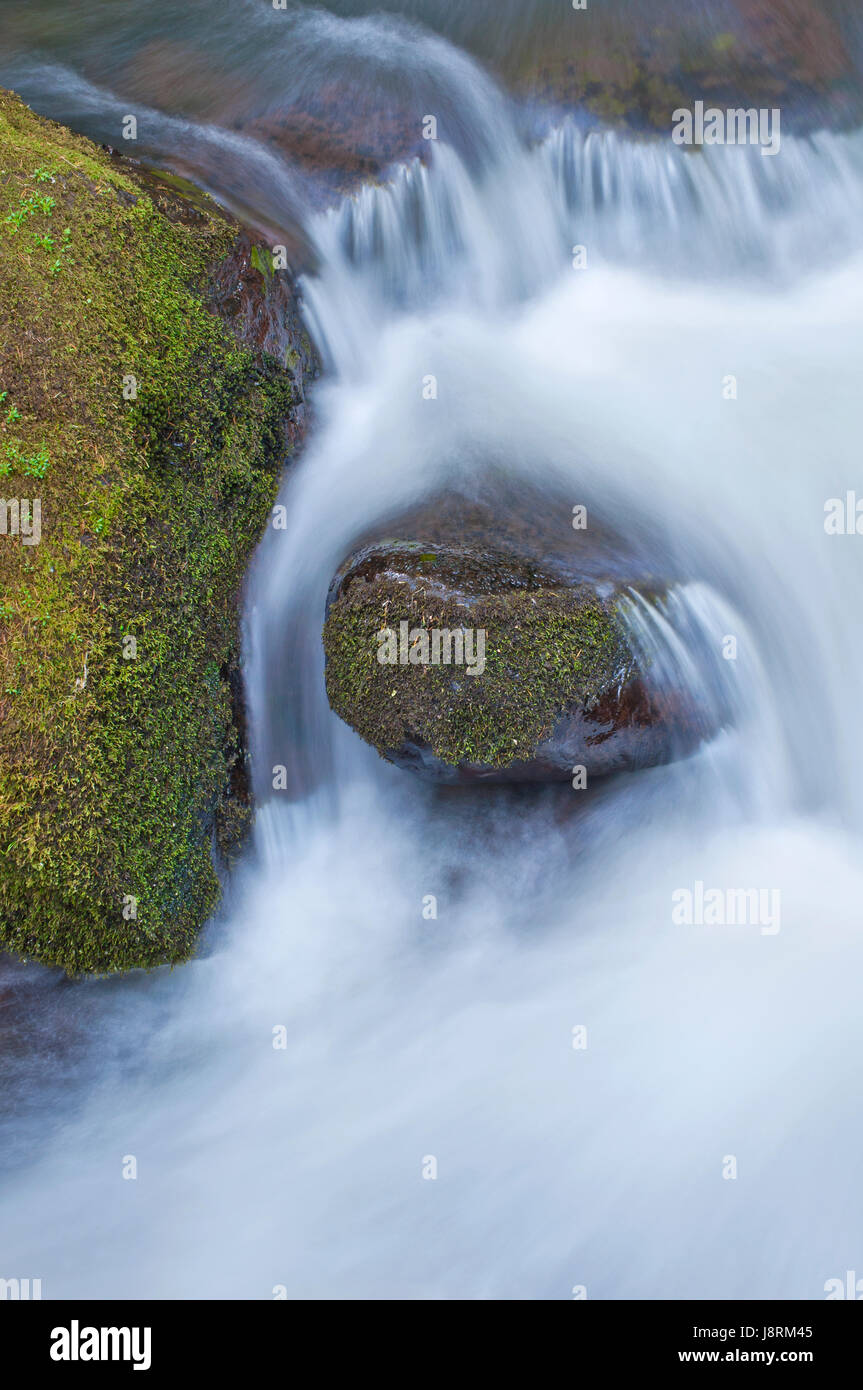 Close up of rushing river water flowing over mossy rocks Stock Photo ...