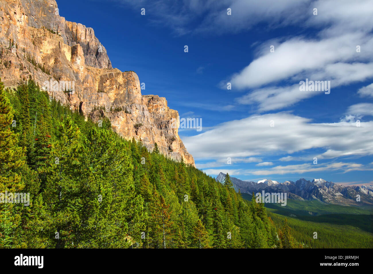 park, canada, national, castle, mountain, forest, chateau, beautiful ...