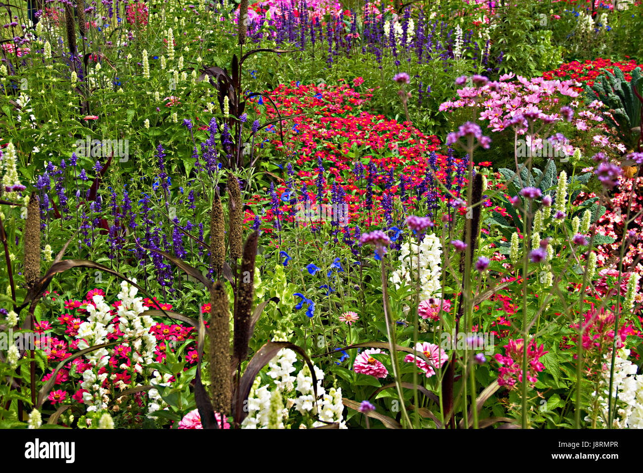 Part 1 hi-res stock photography and images - Alamy