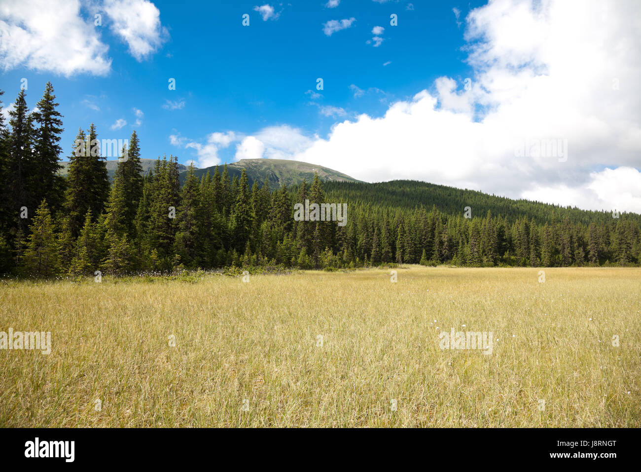 blue, beautiful, beauteously, nice, environment, enviroment, colour ...