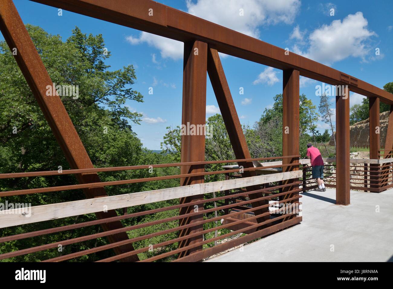 A man standing on a bridge at Spring Lake Park Reserve in Hastings ...