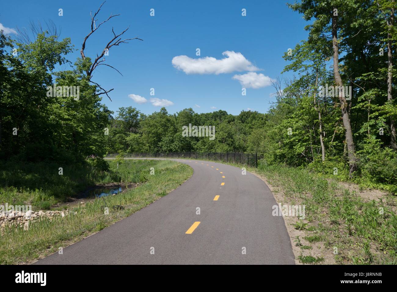 A trail at Spring Lake Park Reserve in Hastings, Minnesota, USA Stock ...