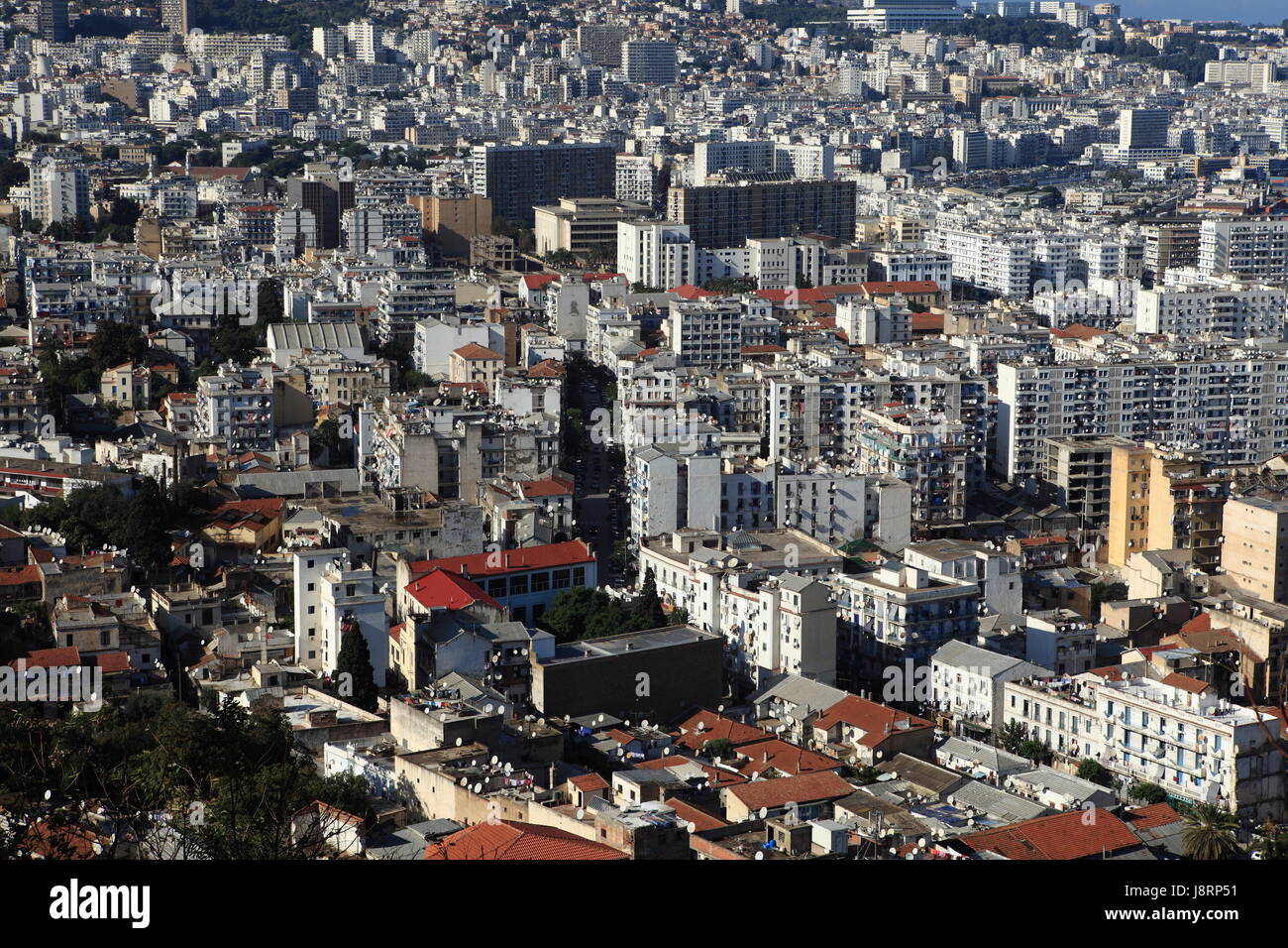 Algeria war independence hi-res stock photography and images - Alamy