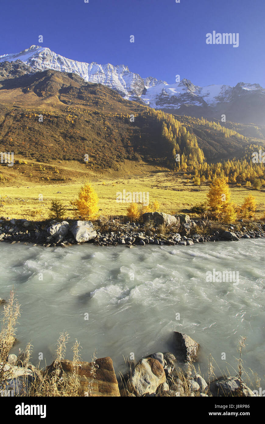 coloured, colourful, gorgeous, multifarious, richly coloured ...