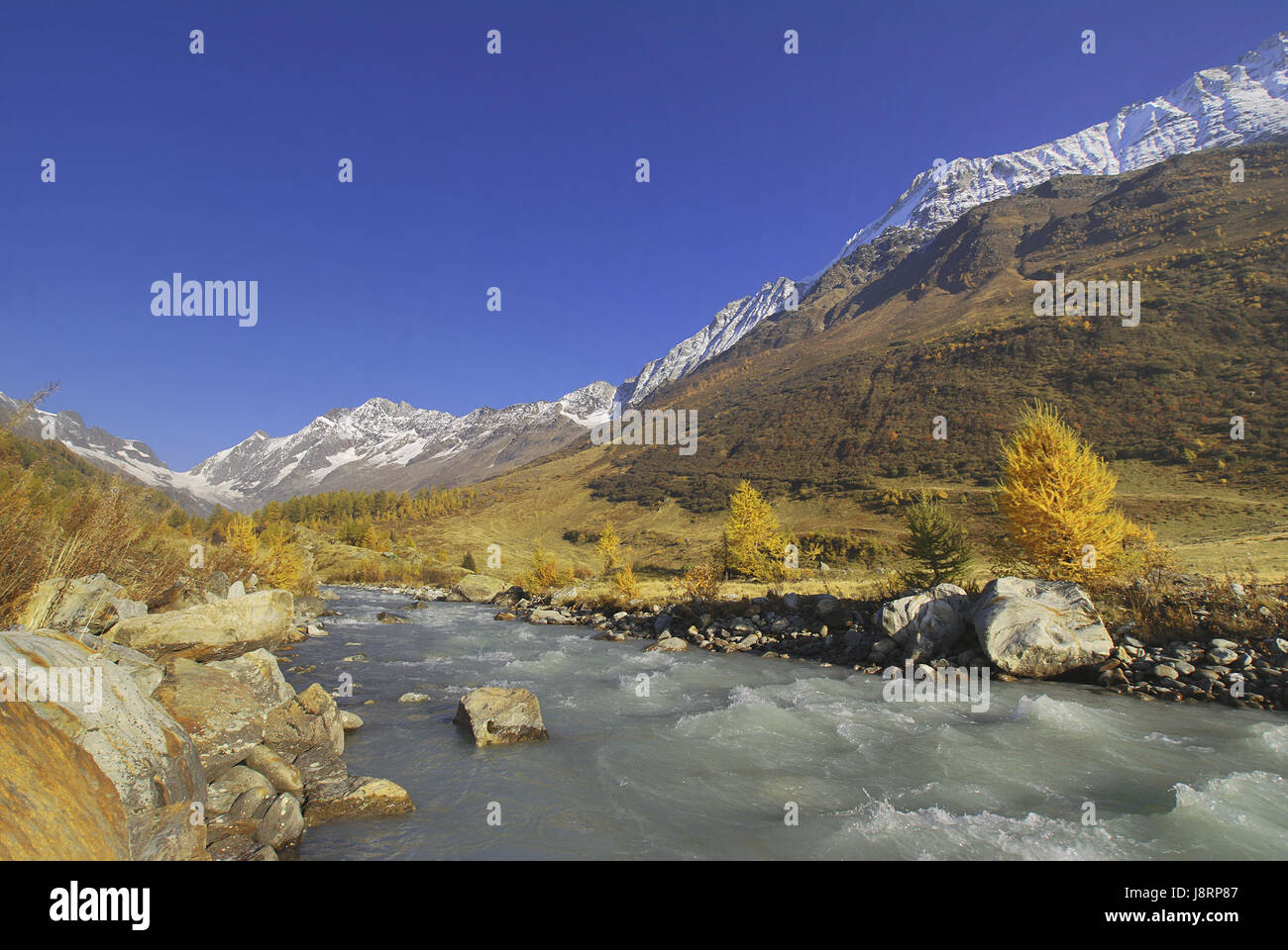 coloured, colourful, gorgeous, multifarious, richly coloured ...