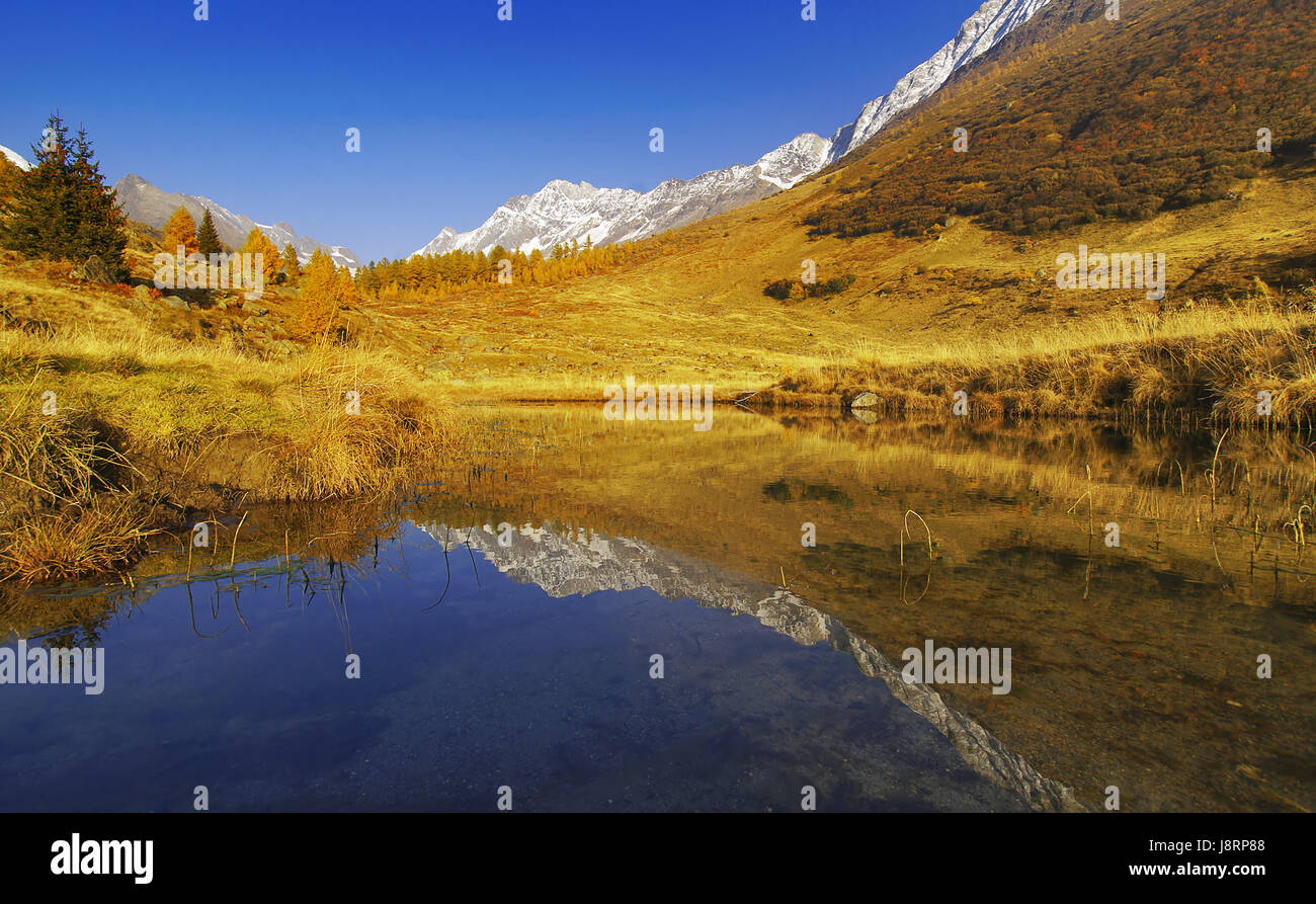 coloured, colourful, gorgeous, multifarious, richly coloured ...