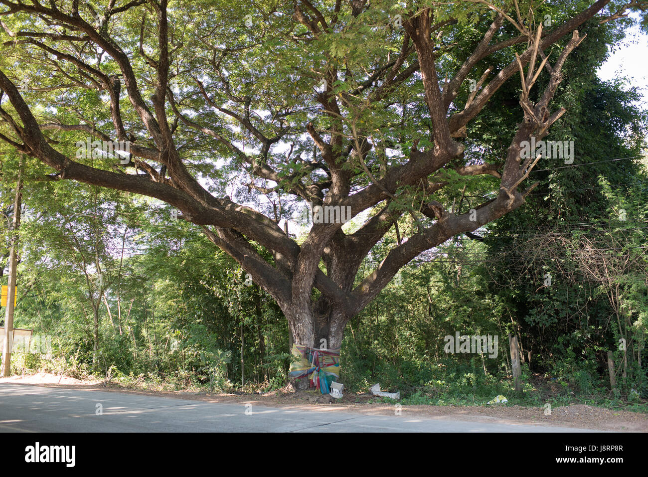 Nakha hi-res stock photography and images - Alamy