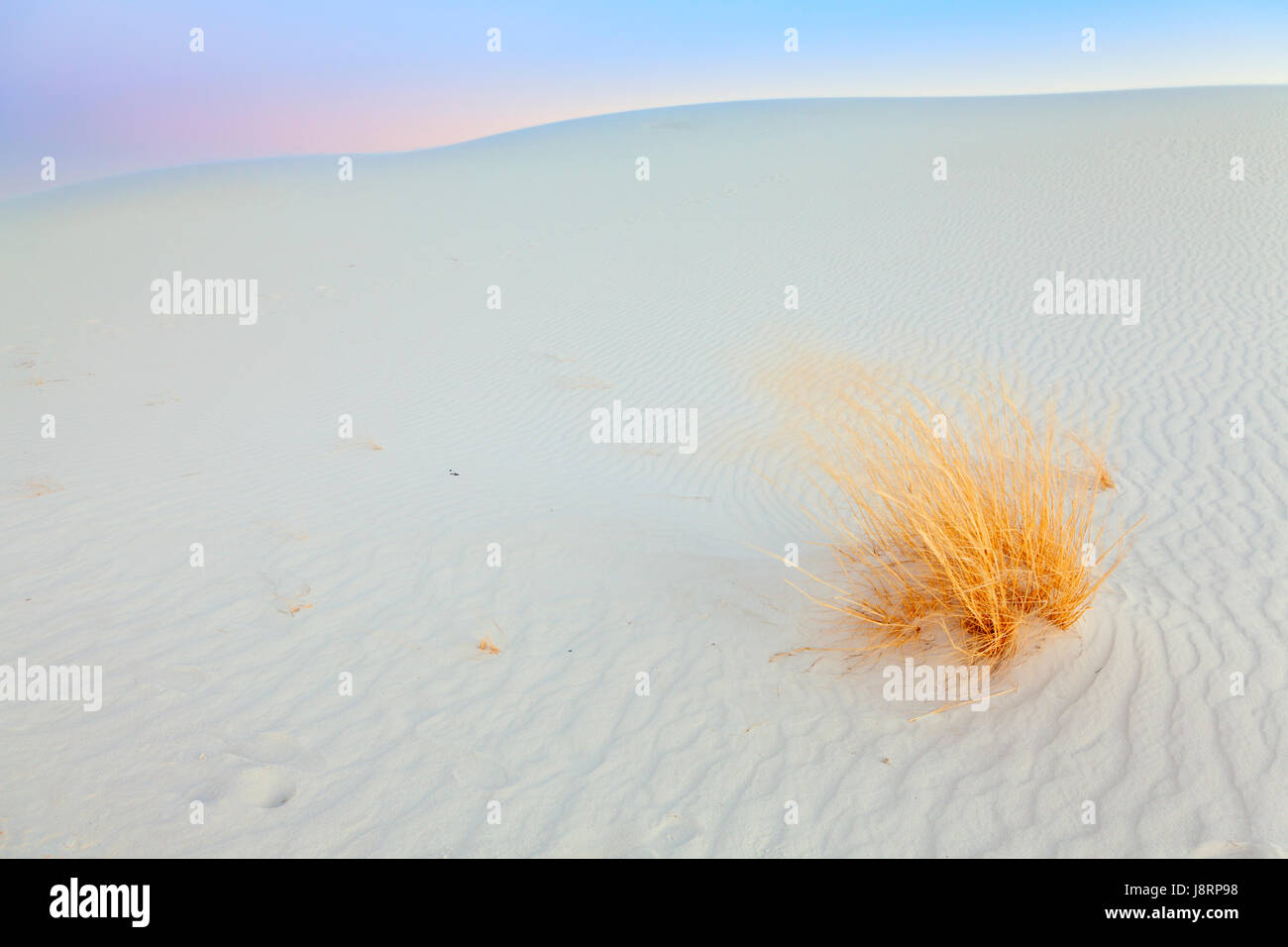 desert, wasteland, sunset, dunes, dry, dried up, barren, landscape ...