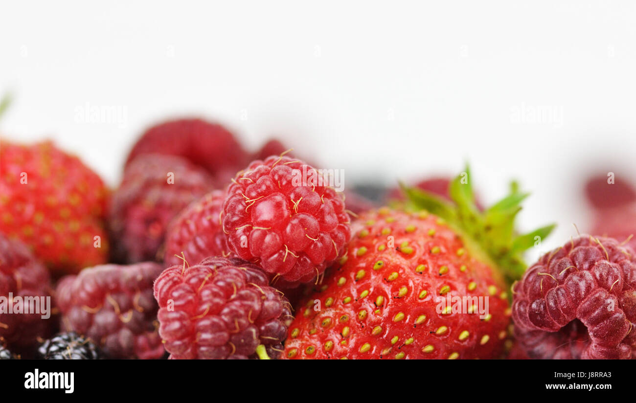 fruit, strawberry, dessert, snack, healthy, food, aliment, leaf, macro ...