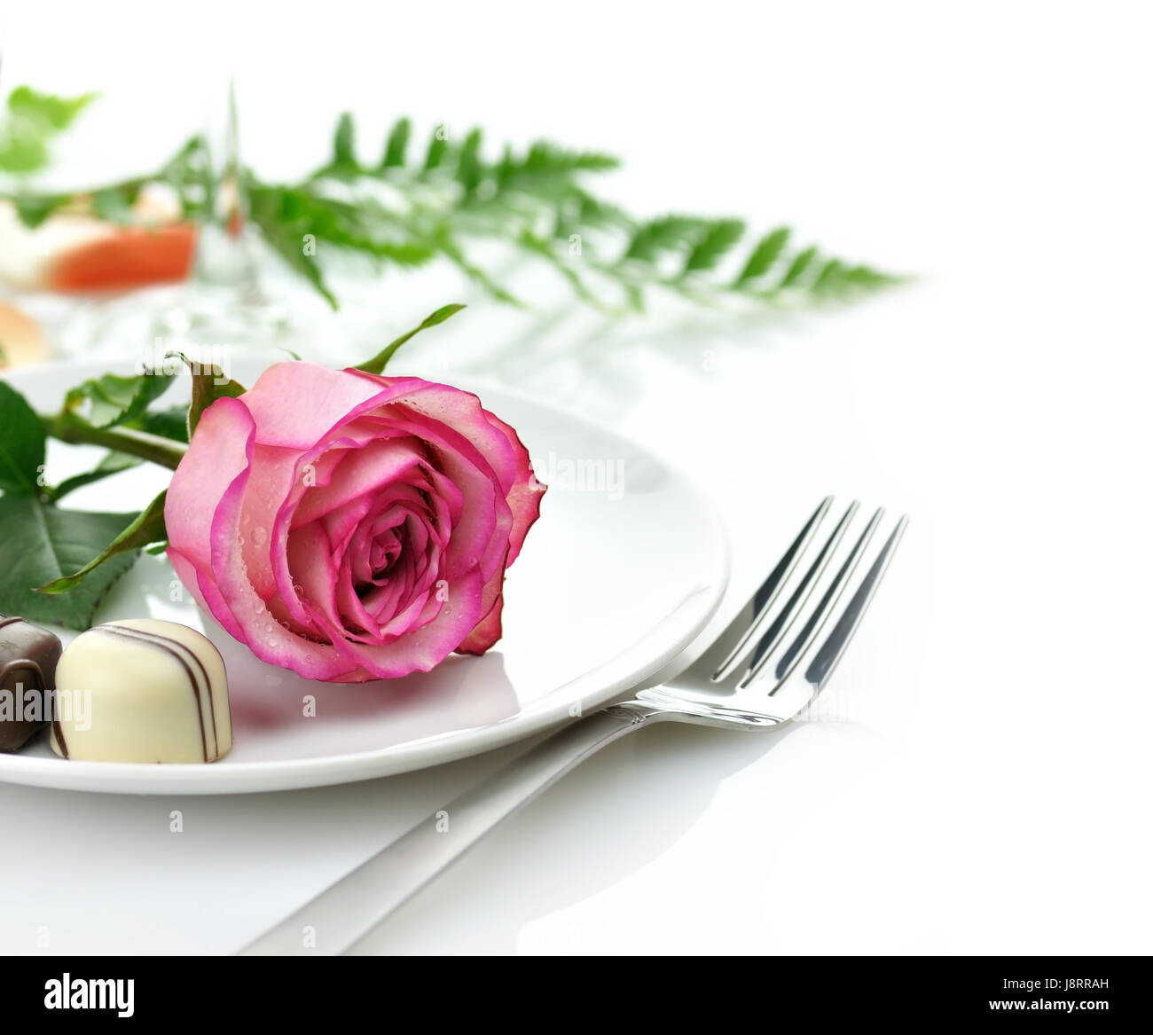 flower, rose, plant, romantic, candy, food, dish, meal, supper, dinner ...