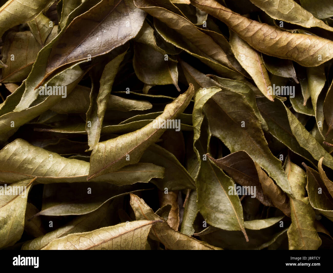 leaves, aromatic, dried, ingredients, curry, preserved, indian, foliage ...