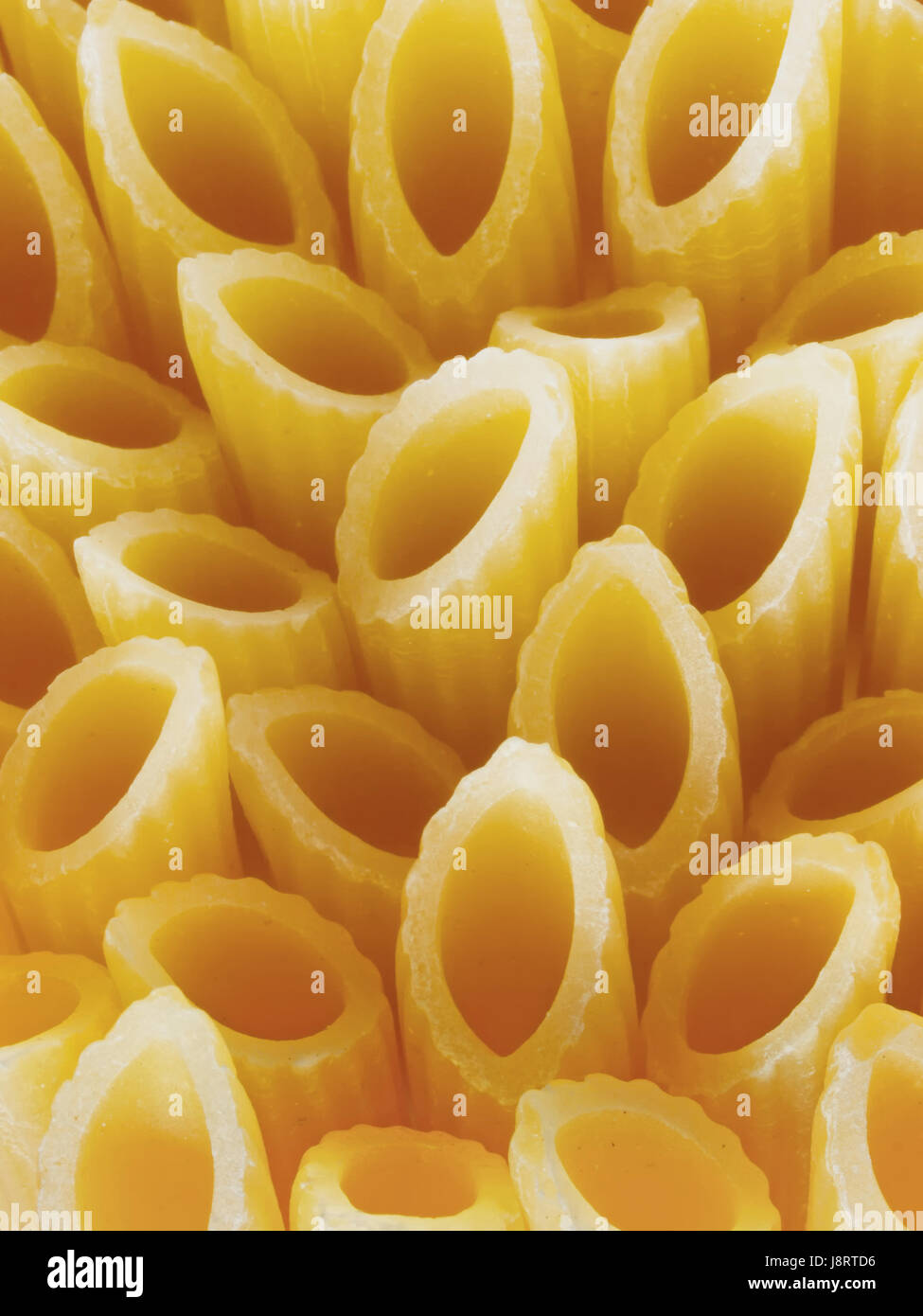 kitchen, cuisine, raw, italian, pasta, carbohydrates, starch, food ...