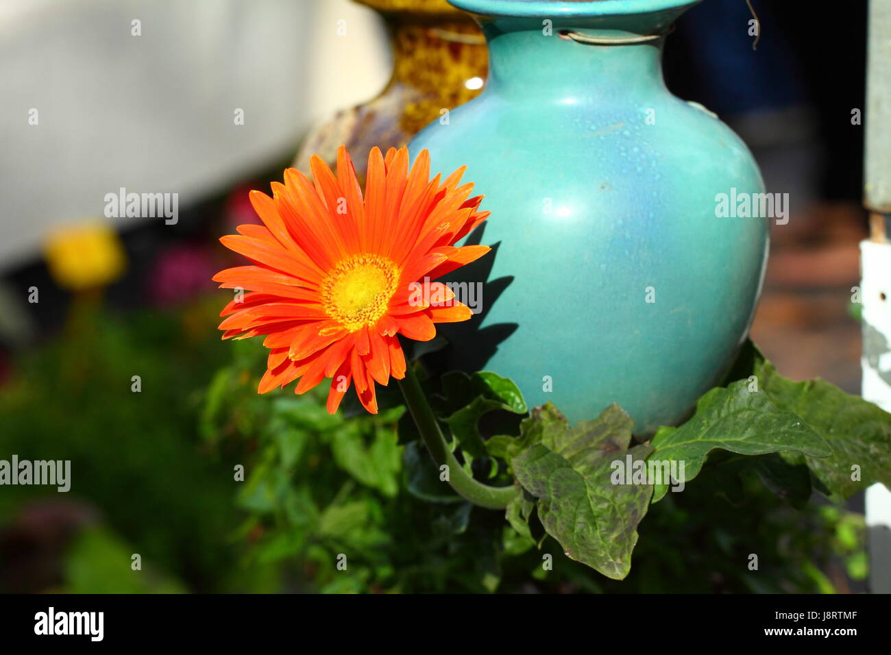 Present little street trade hi-res stock photography and images - Alamy