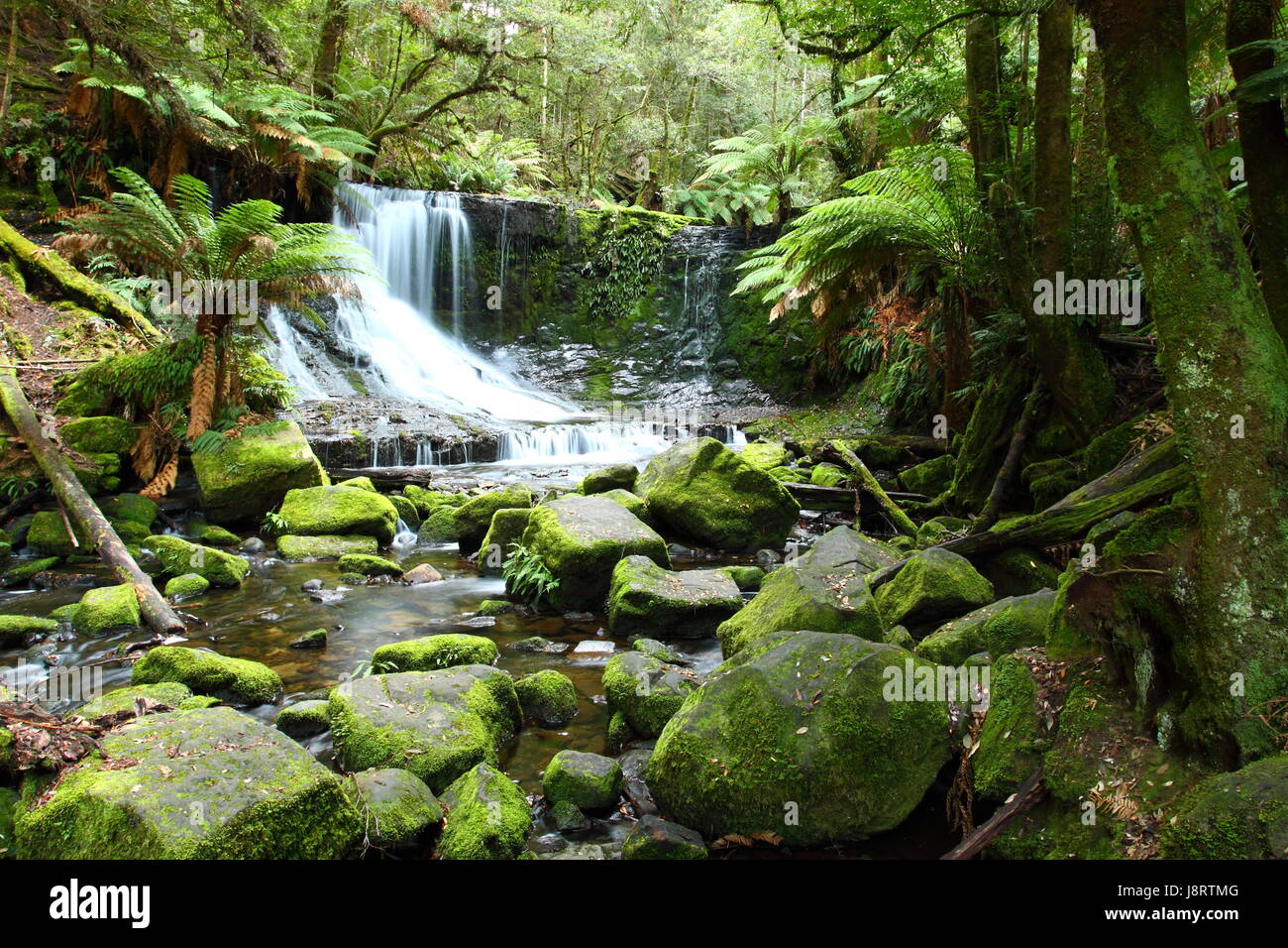 flow, new, field, stream, australia, waterfall, jungle, spring, outdoor ...
