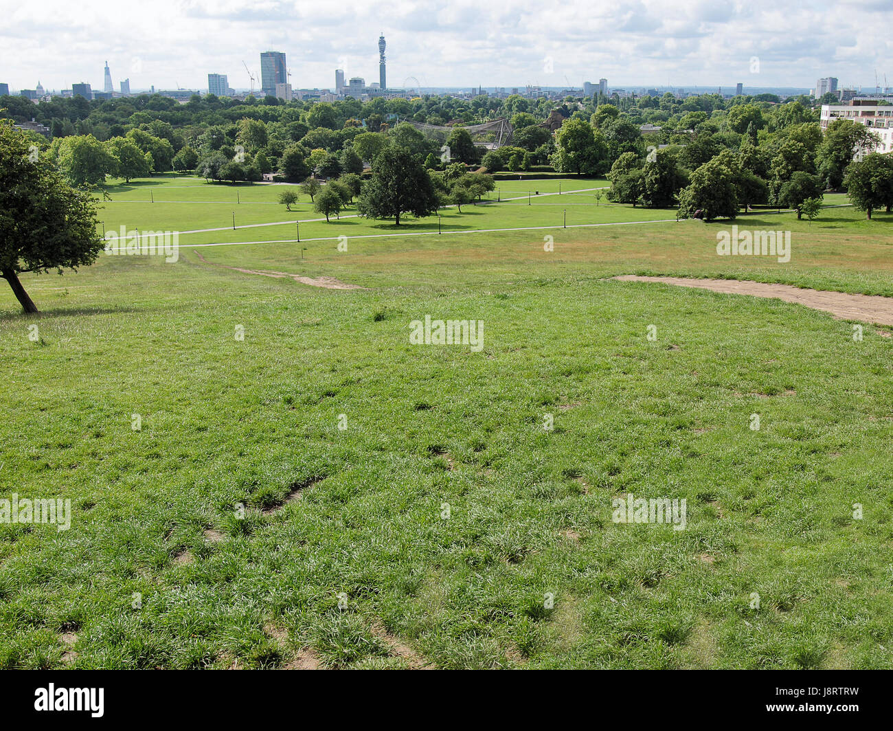 blue, europe, england, british, britain, english, meadow, grass, lawn ...