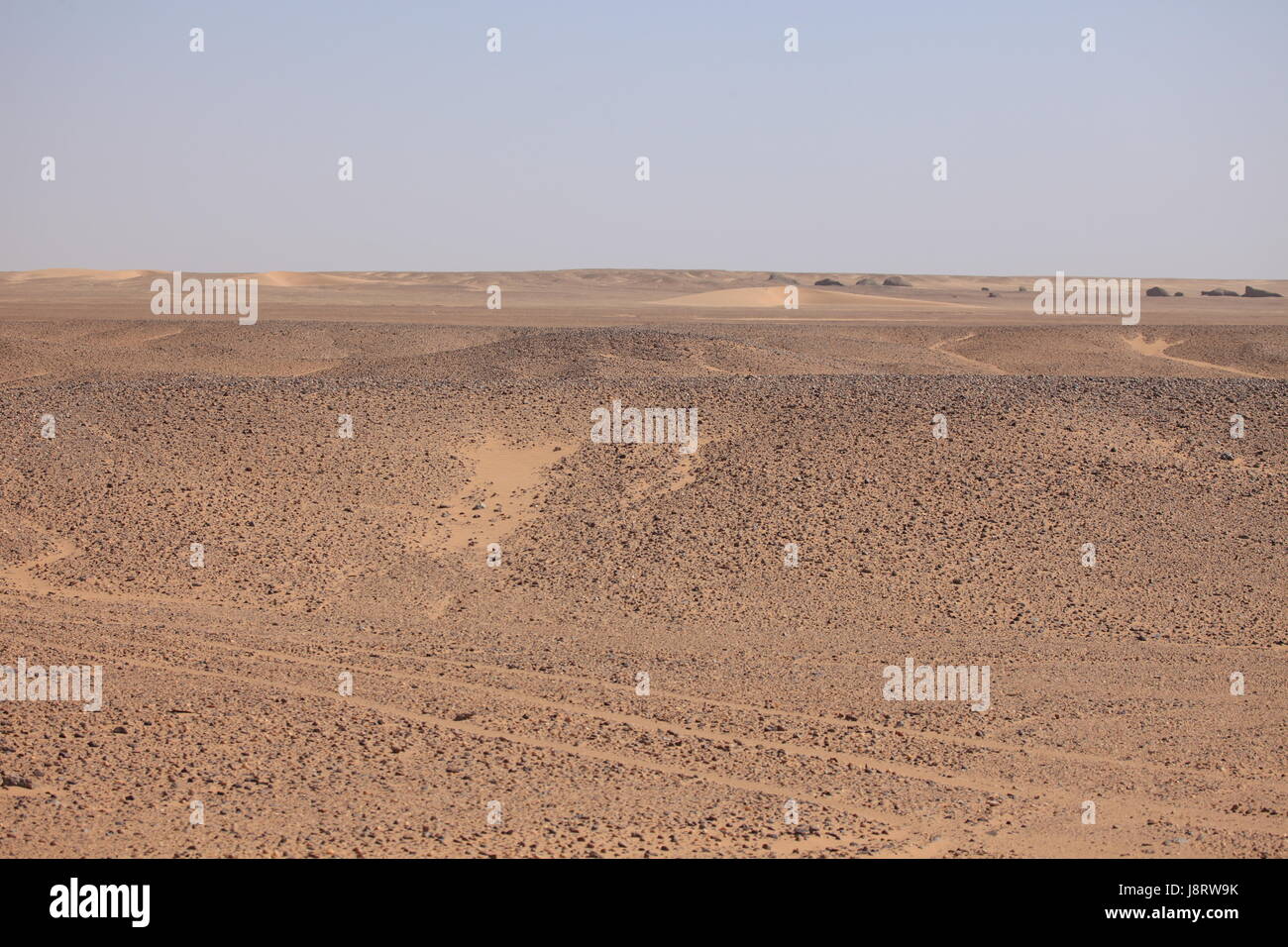 ground, soil, earth, humus, dryness, dry, dried up, barren, climate ...