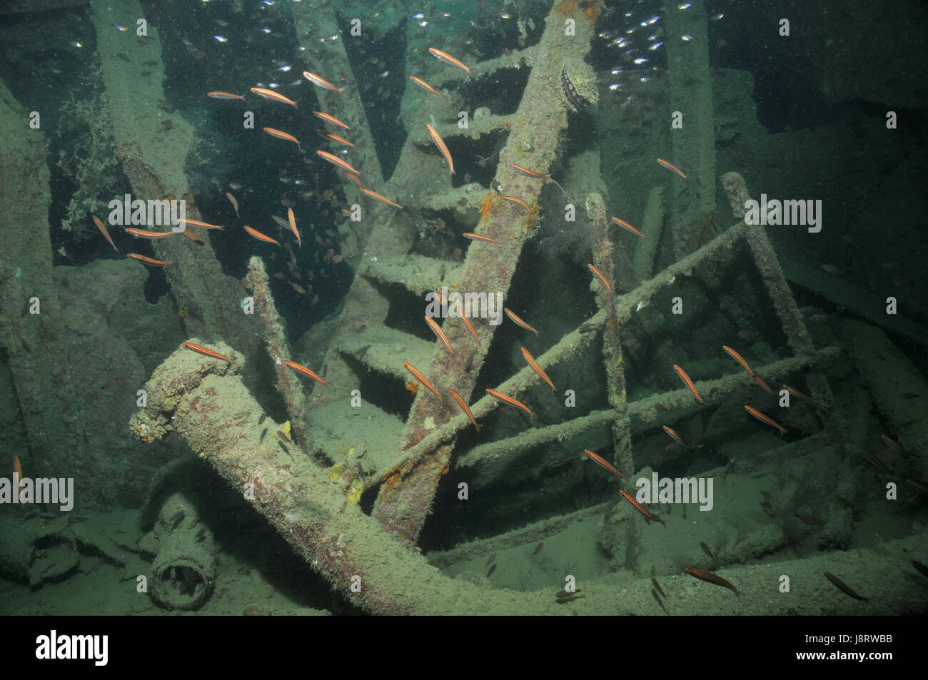 Philippines shipwreck hi-res stock photography and images - Alamy