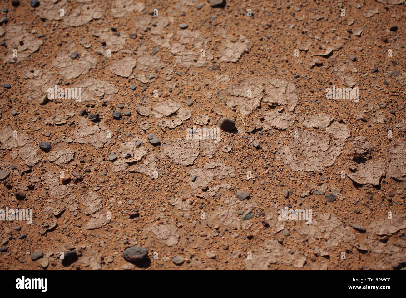 ground, soil, earth, humus, dryness, dry, dried up, barren, climate ...